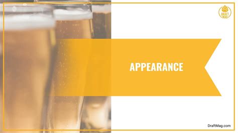 Ic Light Mango Beer Juicy Mango Style Lager With Malt