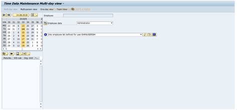 PTMW TIME ADMIN SAP Tcode Maintain Time Data