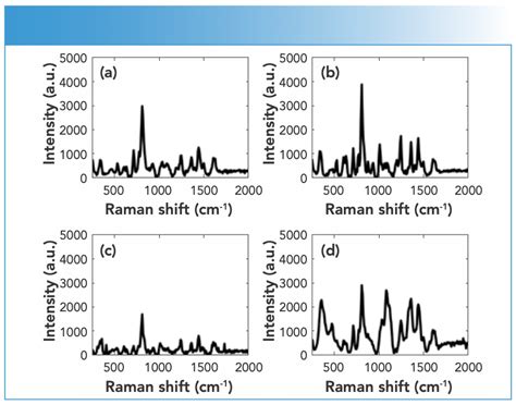 Characterization Of Street Drugs Using Handheld Fourier Transform Raman Spectroscopy