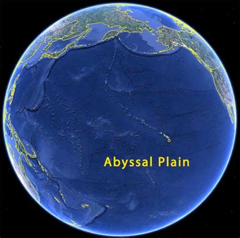 Abyssal Plain Diagram