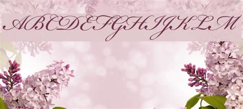 Bickham Script MM Font FFonts Net