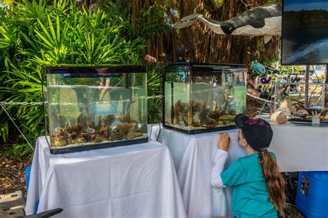 Protecting What We Love Great Barrier Reef Festival