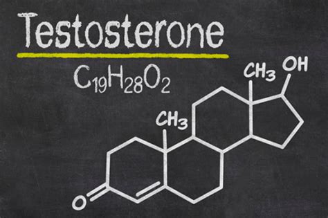 Top 10 Low Testosterone Symptoms Tier List Community Rankings Tiermaker