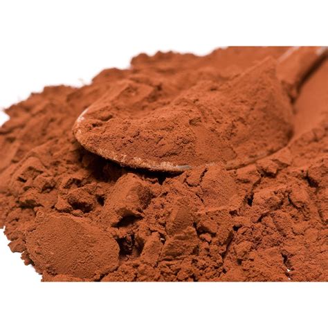 Cacao Barry Plein Arome Callebaut 100 Cocoa Powder Shopee Malaysia