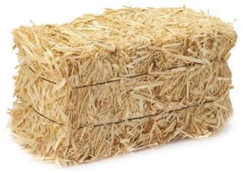 Difference Between Straw And Hay Straw Vs Hay