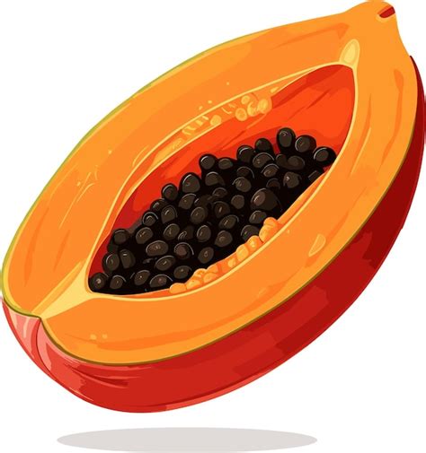 Papaya Clip Art