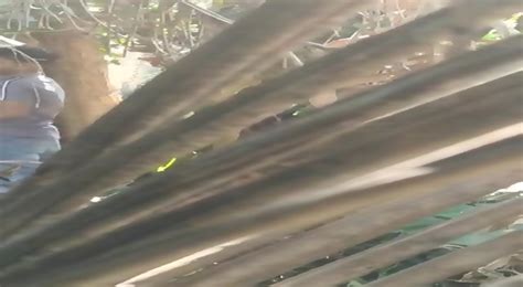 Desi Lovers Outdoor Masti Sex Spy Mms Video Eporner