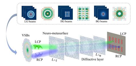 Sorting Complex Light Beams A Breakthrough In Optical Physics