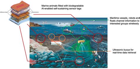 3 Example Application Requiring Real Time Neural Inertial Odometry 197 Download Scientific