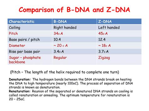 Dna Structure Function Pptx