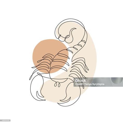 점성술 전갈 자리 조디악 기호 한 줄 그리기 전갈자리에 대한 스톡 벡터 아트 및 기타 이미지 전갈자리 전갈 점성술 기호