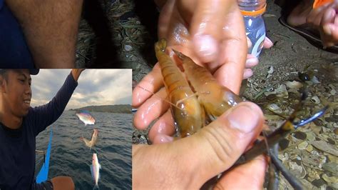 Hipon Sa Tabang Panghuli Ng Bisogo Youtube