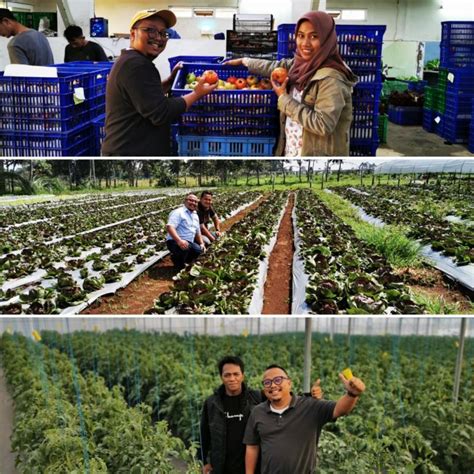 Ignatius Agung Pratama On Linkedin What Is The Difference Between Business During Pandemic And