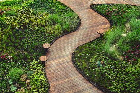 D H Mooool Plant Design