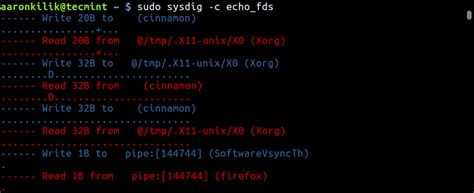 Sysdig A Powerful System Monitoring And Troubleshooting Tool For