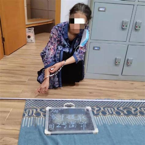 盗窃窗帘、电缆线，大理警方抓获3名犯罪嫌疑人施工