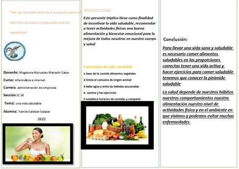 Triptico Yamile Saldivar Salazar Pdf Alimentos Ciencias De La Salud