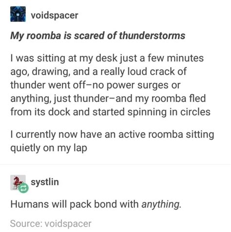 Witty Wake Up Call 30 Memes In The Am Chaostrophic Funny Tumblr