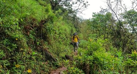 Nethravathi Peak Trek Leave From Bangalore Trek Day Visit Kalasa Hanging Bridge And Belur Temple