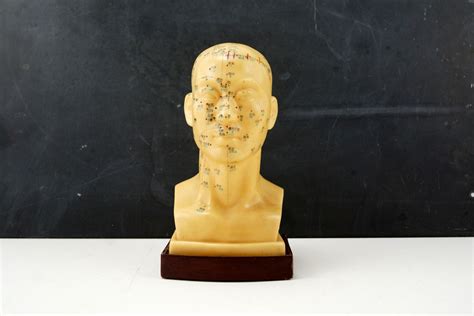 Vintage Male Head Acupuncture Model Medical Model C1970s