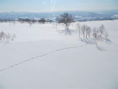 北海道旅行がより充実するようサポートします 北海道観光マスターによる道内各種コンテンツ情報をご案内
