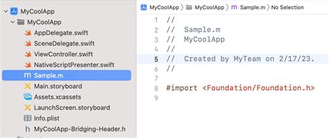 Embed Nativescript Into An Existing Ios App Part 1 The Nativescript