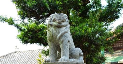 狛犬と私 狛犬アルバム六所神社東京都世田谷区野毛