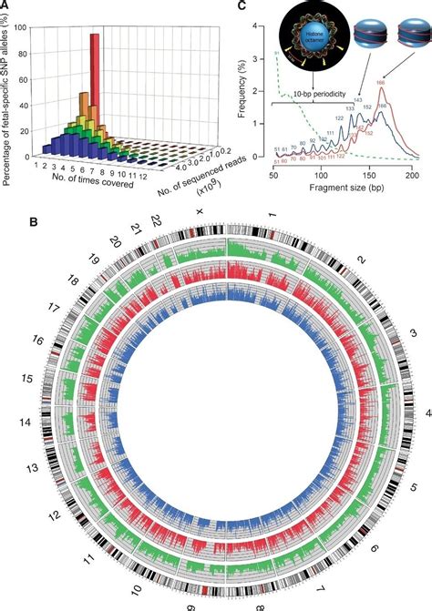 Maternal Plasma Dna Sequencing Reveals The Genome Wide Genetic And