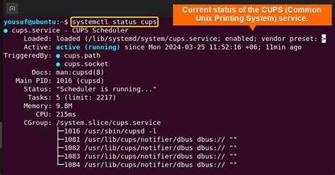 The Systemctl Command In Linux With 15 Examples LinuxSimply