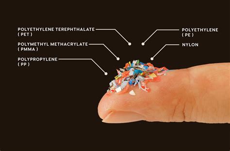 5 Types Of Microplastics Youre Exposed To Daily And How To Reduce Them Microplastx