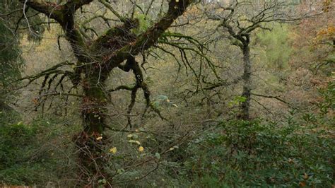 Panasonic Lx3 8 Months With A 14 Year Old Point And Shoot 35mmc