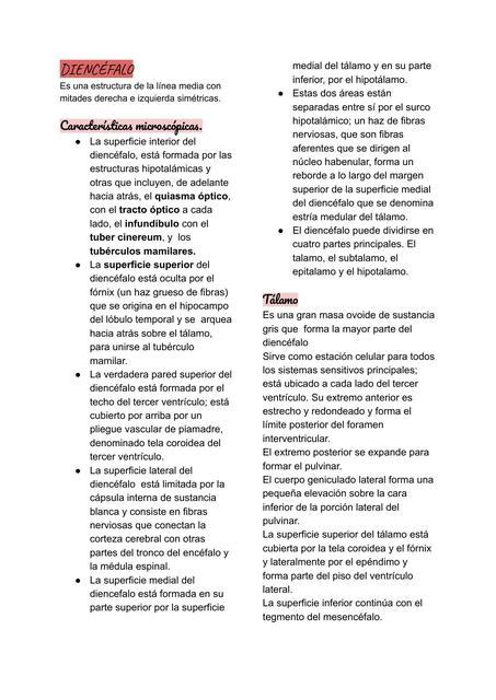 Diencéfalo Agustina Cruz Bormida uDocz