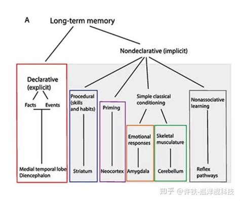 4种不同的记忆及记忆的本质memory