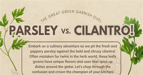 Parsley Vs Cilantro Taste At Nicholas Ramsey Blog