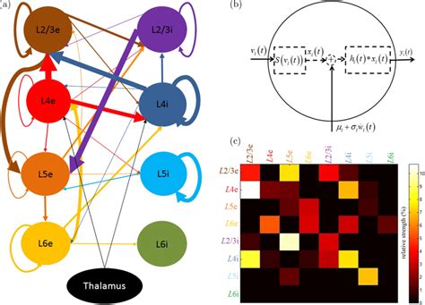 Proposed Neural Mass Model Of Four Interconnected Cortical Layers A