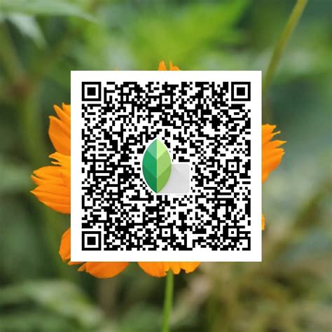 Snapseed Qr Code Photo Editing