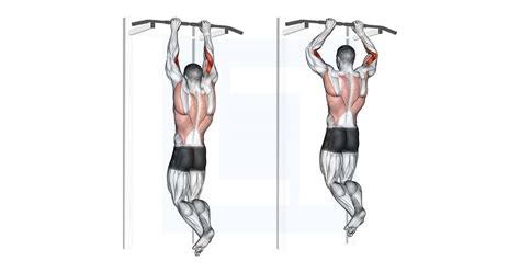 Band Reverse Wrist Curl Guide Benefits And Form
