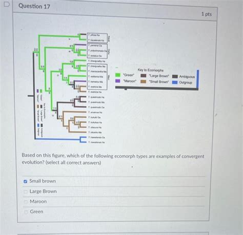 Solved Based On This Figure Which Of The Following Ecomorph