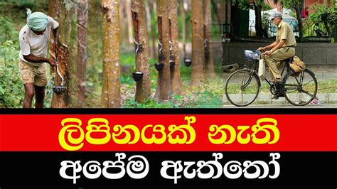 ලිපිනයක් නැති අපේම ඇත්තෝ Youtube