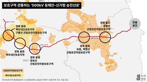 동해안 신가평 송전선로 추진에 산불·생태계 훼손” 우려 제기 뉴스민