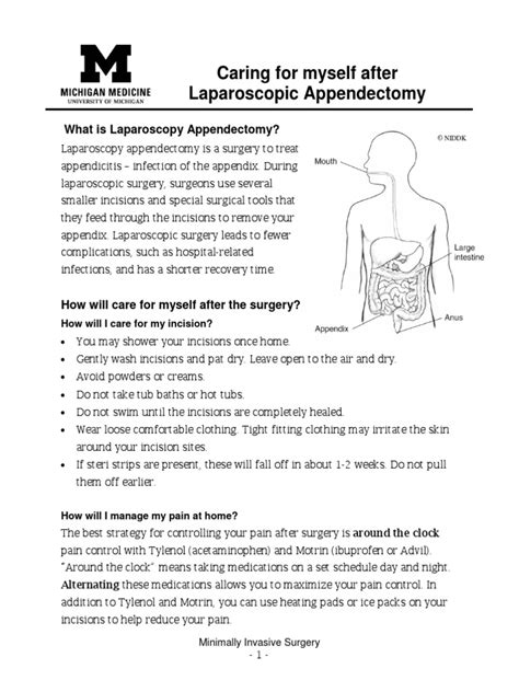 Lap Appendectomy Pdf