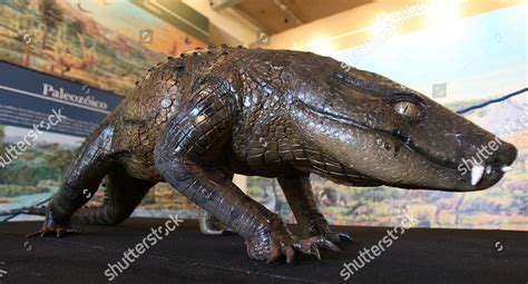 Reconstruction Armadillosuchus Arrudai Extinct Unique Species Editorial