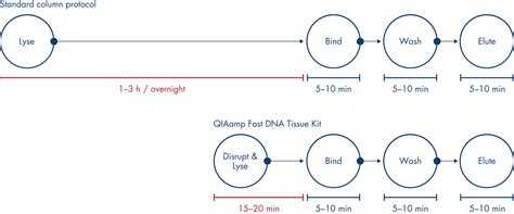 Qiaamp Fast Dna Tissue Kit