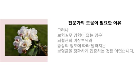 뇌혈관진단비 Lux 법률사무소