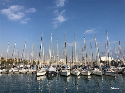 퇴사여행 스페인 바르셀로나 콜롬버스 기념탑콜롬버스 전망대 포트 벨벨 항구 바르셀로나 대성당 크리스마스 마켓