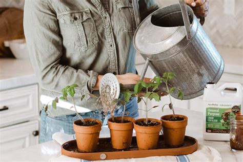 When To Use Agrothrive General Purpose Fertilizer