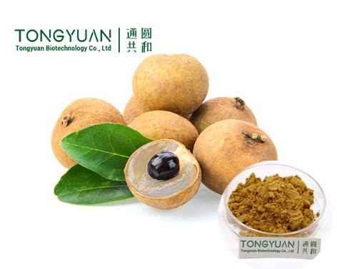 龙眼核提取物 植物提取物 产品中心 通圆共和