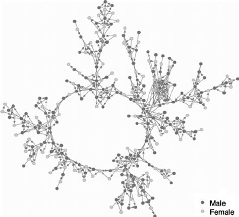 Romantic And Sexual Relationships Among 288 Students At “jefferson High