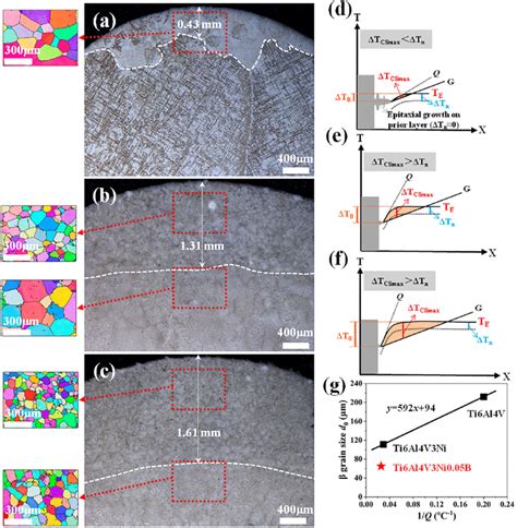 The β Grains At The Top Of Ti6al4vxniyb And The Initial Solidification