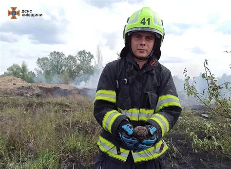На Київщині під час пожежі бійці ДСНС врятували маленького їжака фото